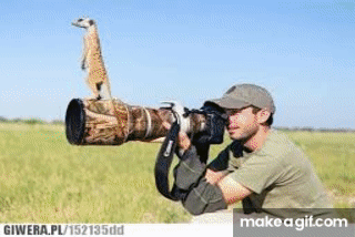 Photographers Risking Their Life on Make a GIF