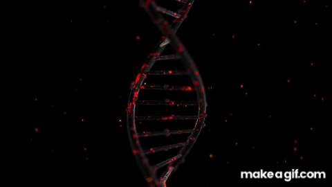 Medical Background Video Loop - 3D DNA Animation Footage 4k on Make a GIF