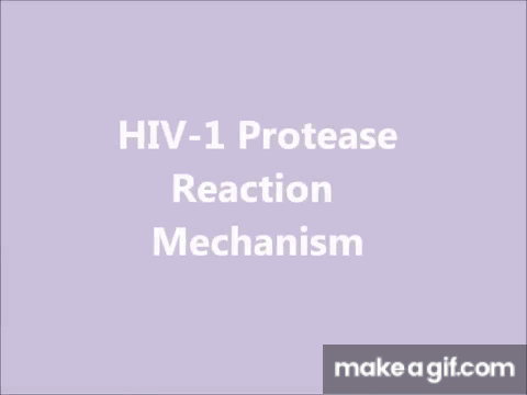 HIV-1 Protease Reaction Mechanism on Make a GIF