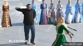 Steven Seagal: Lawman Ultimate Dance Mash-Up on Make a GIF