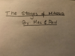 The Stages Of Mitosis on Make a GIF