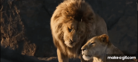 Simba on Make a GIF