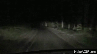 Driving at night on a dirt road on Make a GIF
