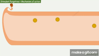 Stimulant laxatives / Irritant laxatives on Make a GIF