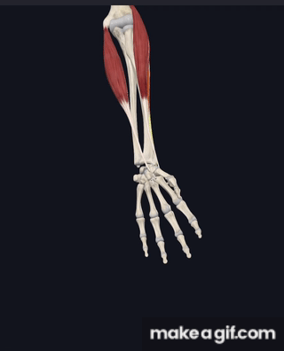 wrist drop on Make a GIF