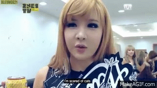 Park Bom Memes Funny Gifs : Park Bom Gif VSGIF.com
