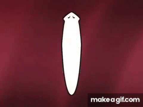 Planarian regeneration cut on Make a GIF