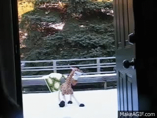 imgur over capacity on Make a GIF