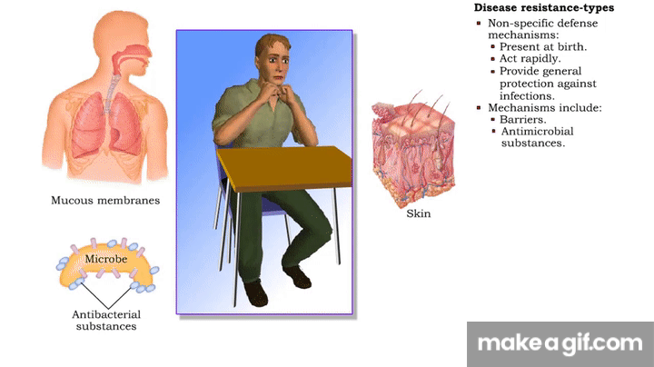 Types of disease resistance: innate defenses & immunity on Make a GIF