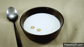 The Cheerios Effect on Make a GIF