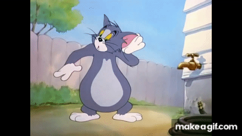 Tom Vore + Burp on Make a GIF