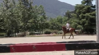 Cesare Flickerman Che Ride Gif