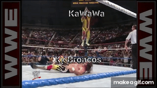 WWE Top 10 - Top Rope Finishers on Make a GIF