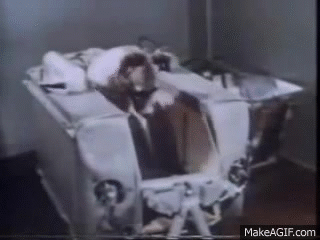 1957: Sputnik 2 (USSR) on Make a GIF