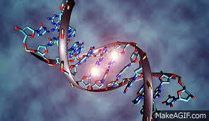 Genoma Humano on Make a GIF