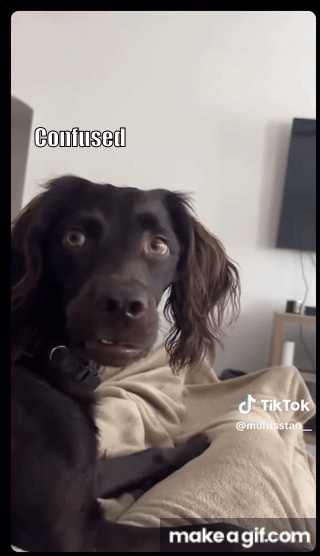 Confused Me on Make a GIF