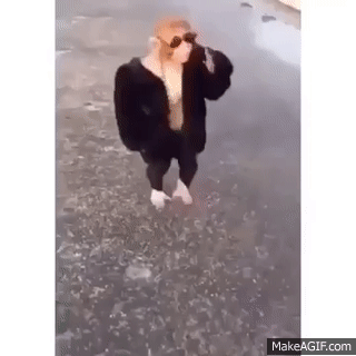 Monkey with Fur coat walking on Make a GIF
