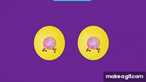 Meiosis: Where the Sex Starts - Crash Course Biology #13 on Make a GIF