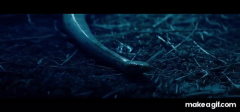 JESUS CRUSHING SNAKE on Make a GIF