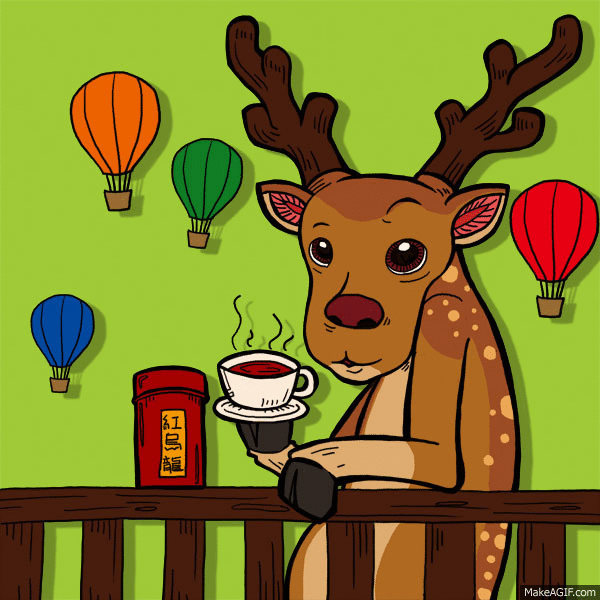 fun on Make a GIF