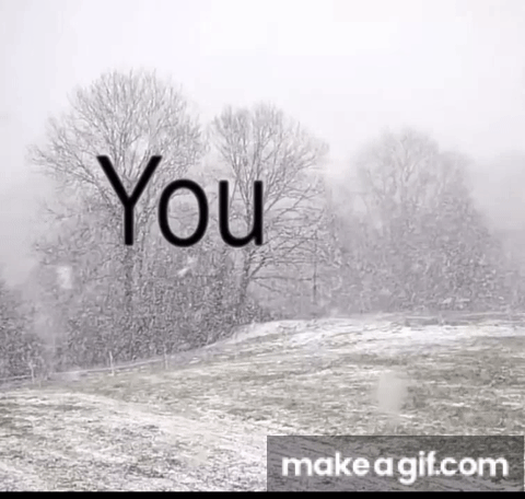 Funny on Make a GIF