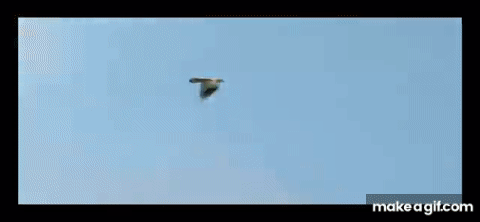 Vice (hunting scene). on Make a GIF