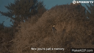 Memory on Make a GIF
