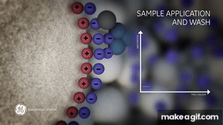Principles of Ion Exchange Chromatography on Make a GIF