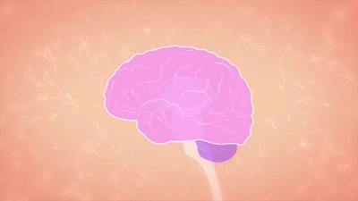 Perception Gifs - Primo Gif - Latest Animated Gifs 986