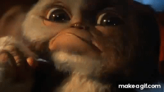 gizmo rambo on Make a GIF