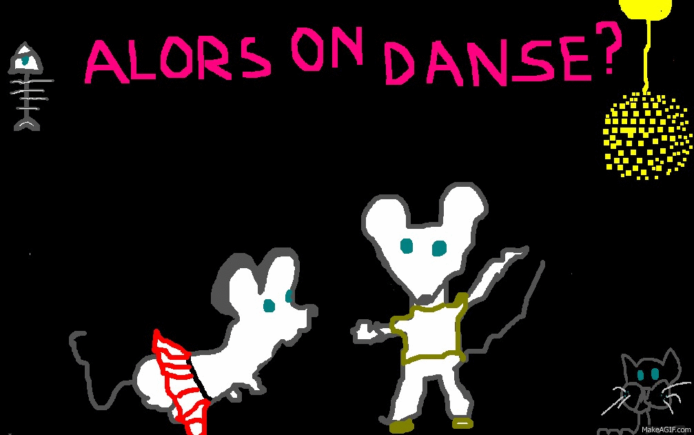 Gif De Danse De Chat EN】First Time All English Streaming Chatting