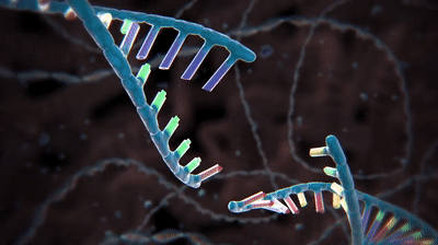 Genome Editing with CRISPR-Cas9 on Make a GIF