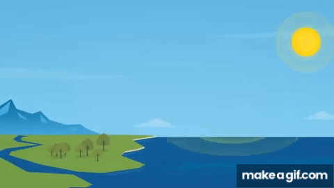 How does rain form and what is the water cycle? on Make a GIF