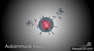 autoimmune theory on Make a GIF