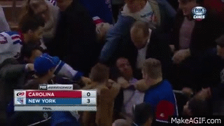 These fans fight over a hockey stick on Make a GIF