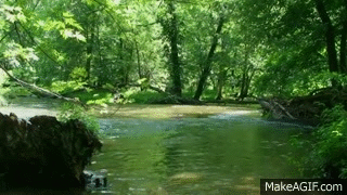 Running Water on Make a GIF