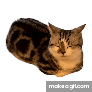 Cat to loaf on Make a GIF
