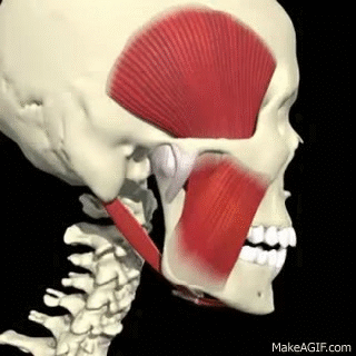 atm elevacion y descenso vista lateral on Make a GIF