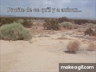 matojo rodando... on Make a GIF