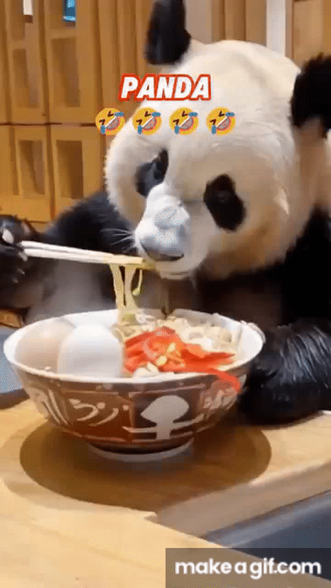 Cute Panda eating noodles with chopsticks. #panda #aiimages on Make a GIF