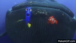 Best of Finding Nemo's Dory (Finding Dory) on Make a GIF