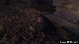 Sooper Heros: Move over, Robin Hood! on Make a GIF