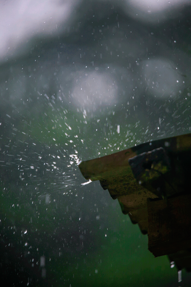 Rain on Make a GIF