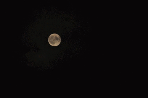 Moonlight too light on Make a GIF