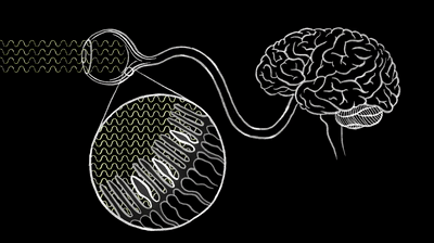 How we see color - Colm Kelleher on Make a GIF