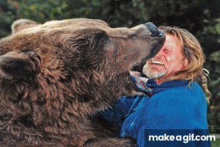 Friendship between man and bears on Make a GIF