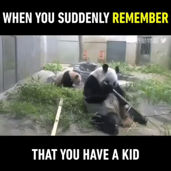 When you suddenly remember that you have a kid on Make a GIF
