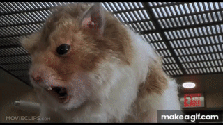 Nutty Professor 2: The Klumps (8/9) Movie CLIP - Giant Hamster Attack ...