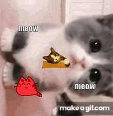 meow meow on Make a GIF