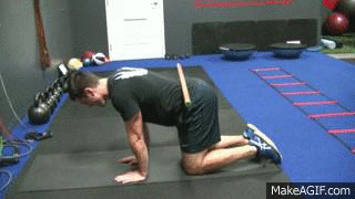 bird dog exercise on Make a GIF